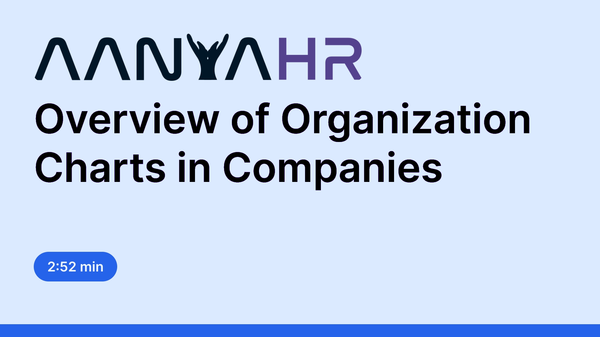 Overview of Organization Charts in Companies